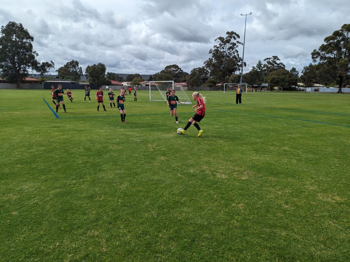 Gallery – Armadale Soccer Club